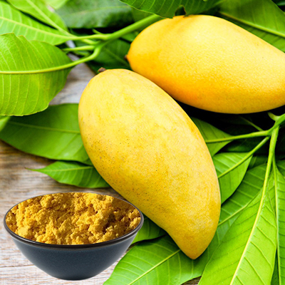 freeze dried raw mango powder price - RealclearBio