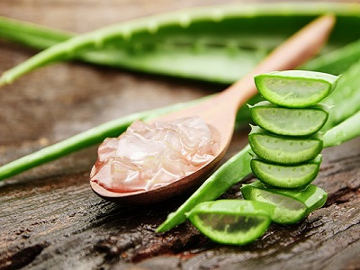 Aloe vera extract's functions and points for attention - RealclearBio