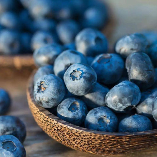 best wild dried Blueberry Fruit Powder - RealclearBio